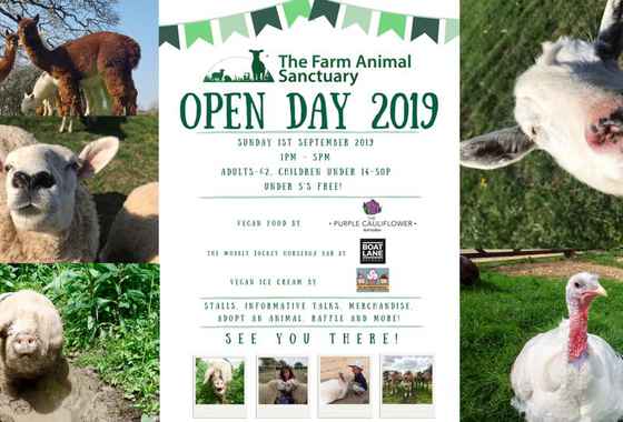 Open Day 2019 The Farm Animal Sanctuary : The Bromsgrove Oracle